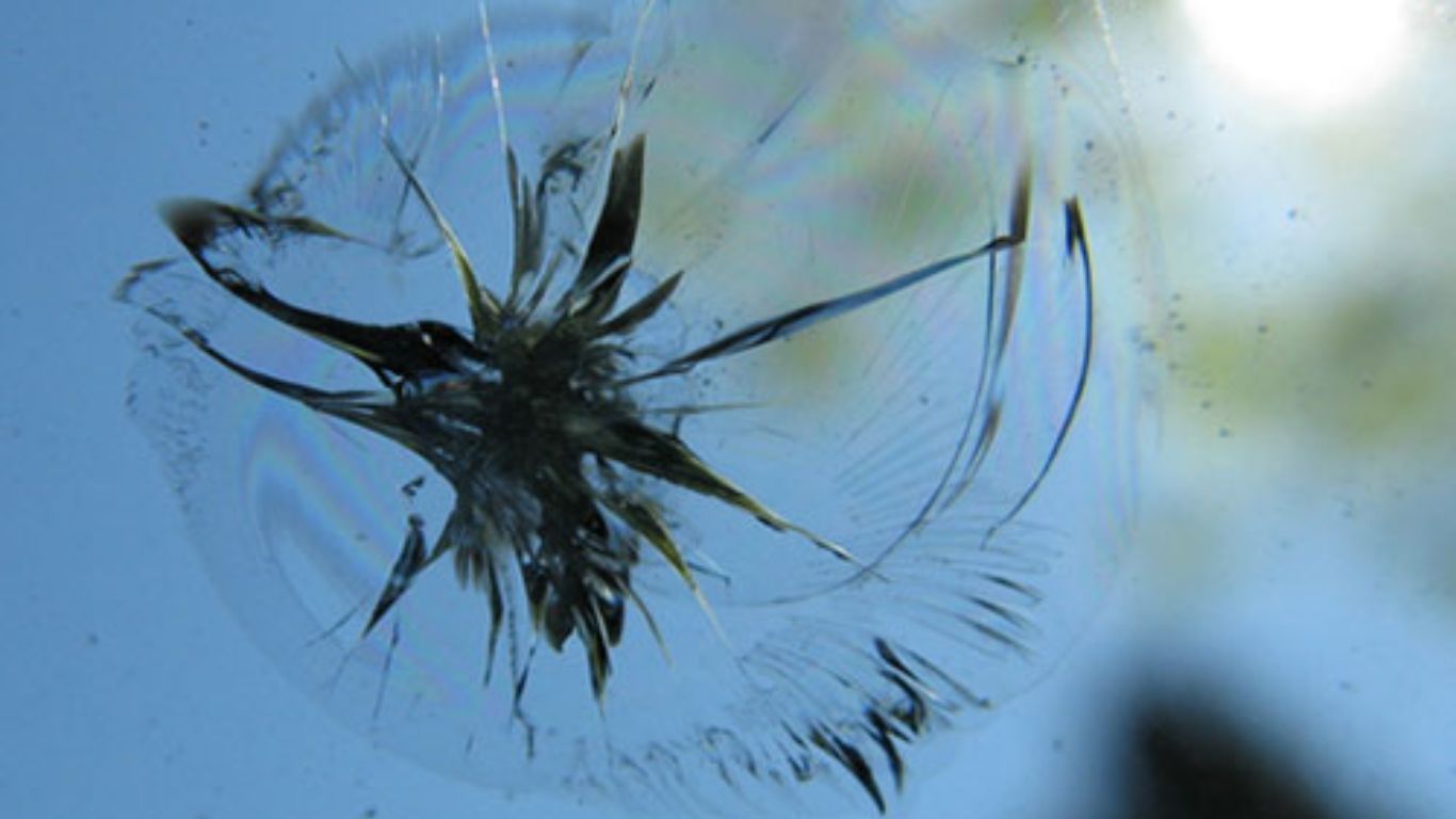 Types of Windshield Cracks Guide: When to Replace Your Glass