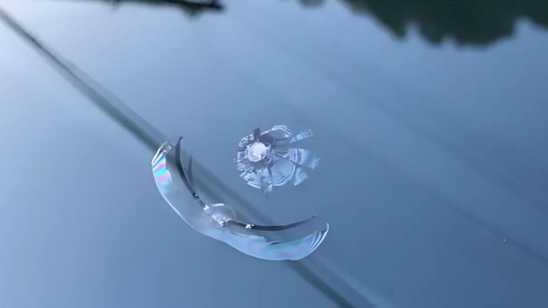 Types of Windshield Cracks Guide: When to Replace Your Glass