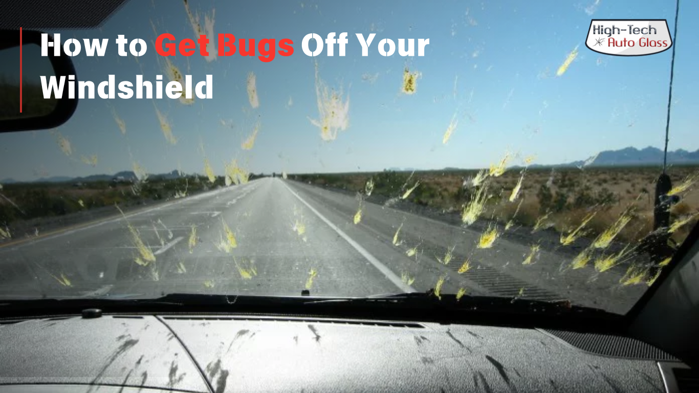 Best Ways to Get Bugs Off Your Car Windshield
